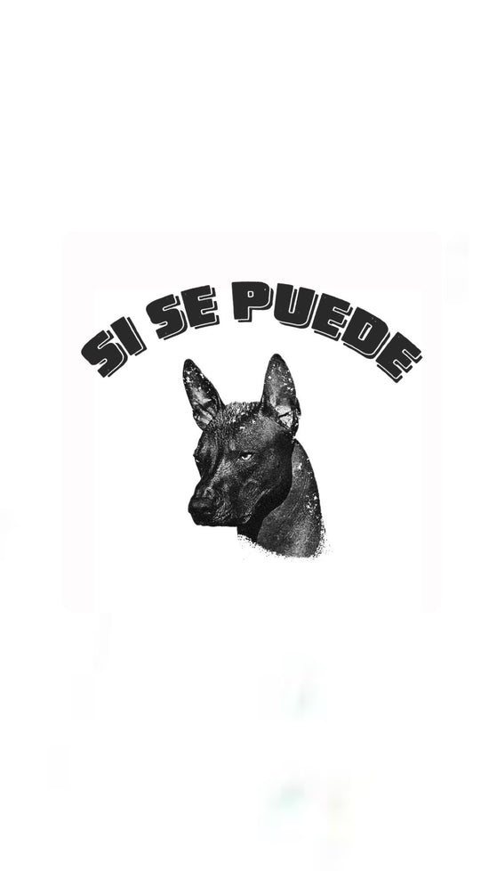 SI SE PUEDE CREATIONS